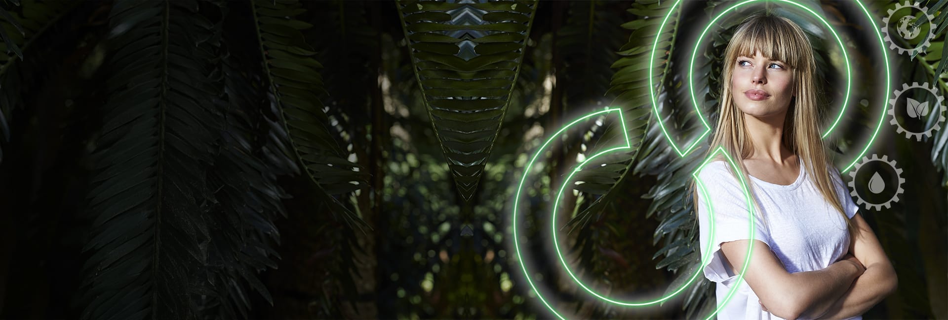 The DPP Wake-Up Call: Costs, Timelines & Strategic Moves | Centric Software